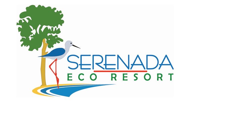 Search – Africa Booking Match