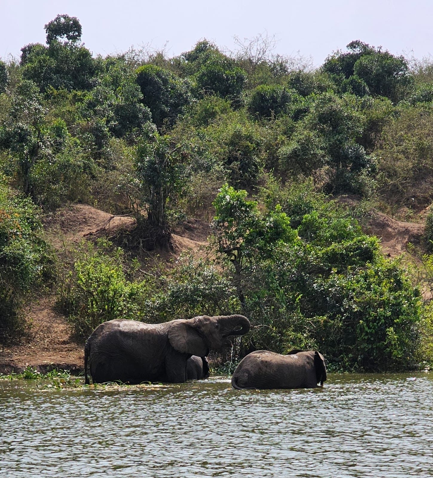 Special offer – Africa Booking Match