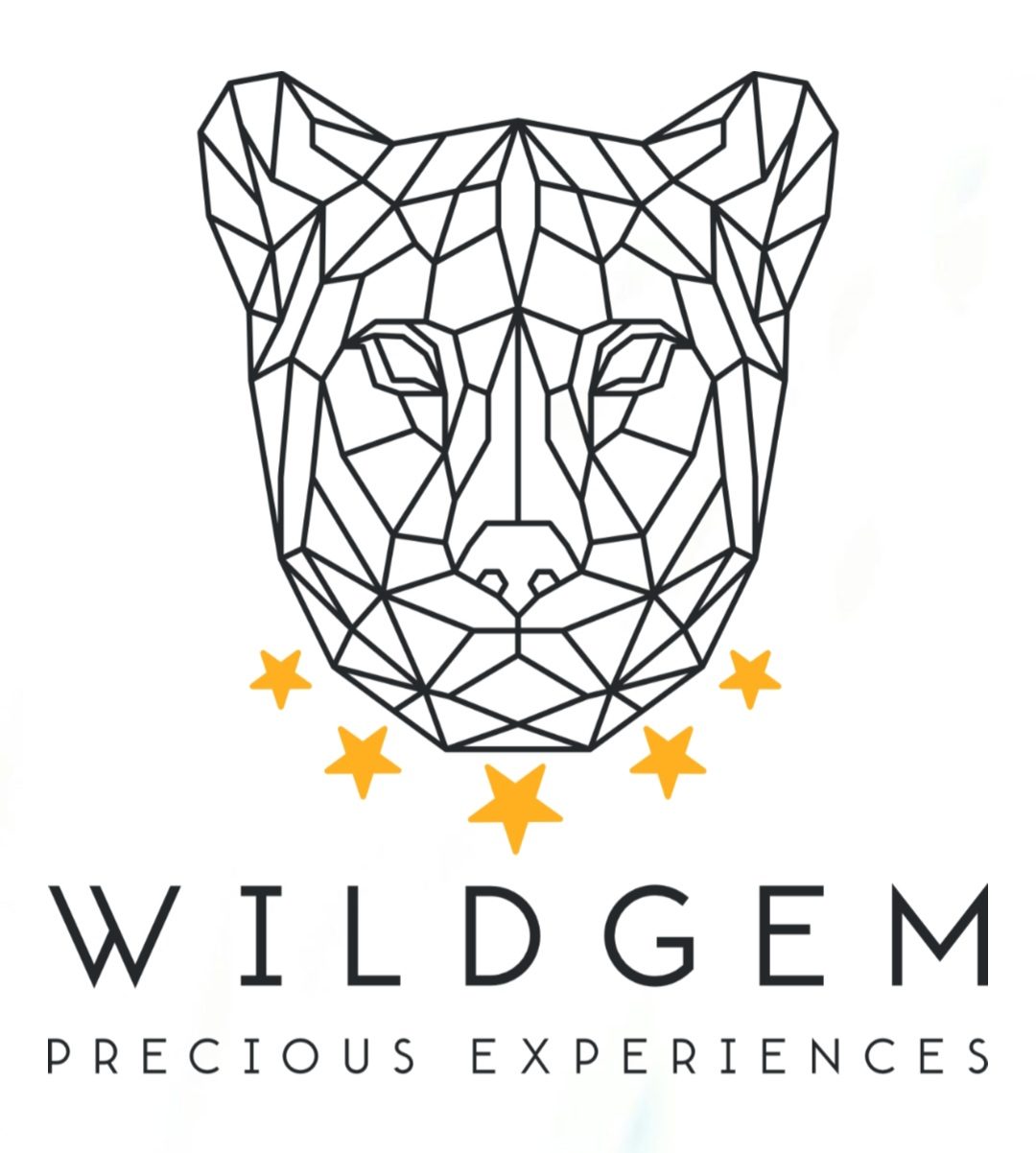 Tender – Africa Booking Match