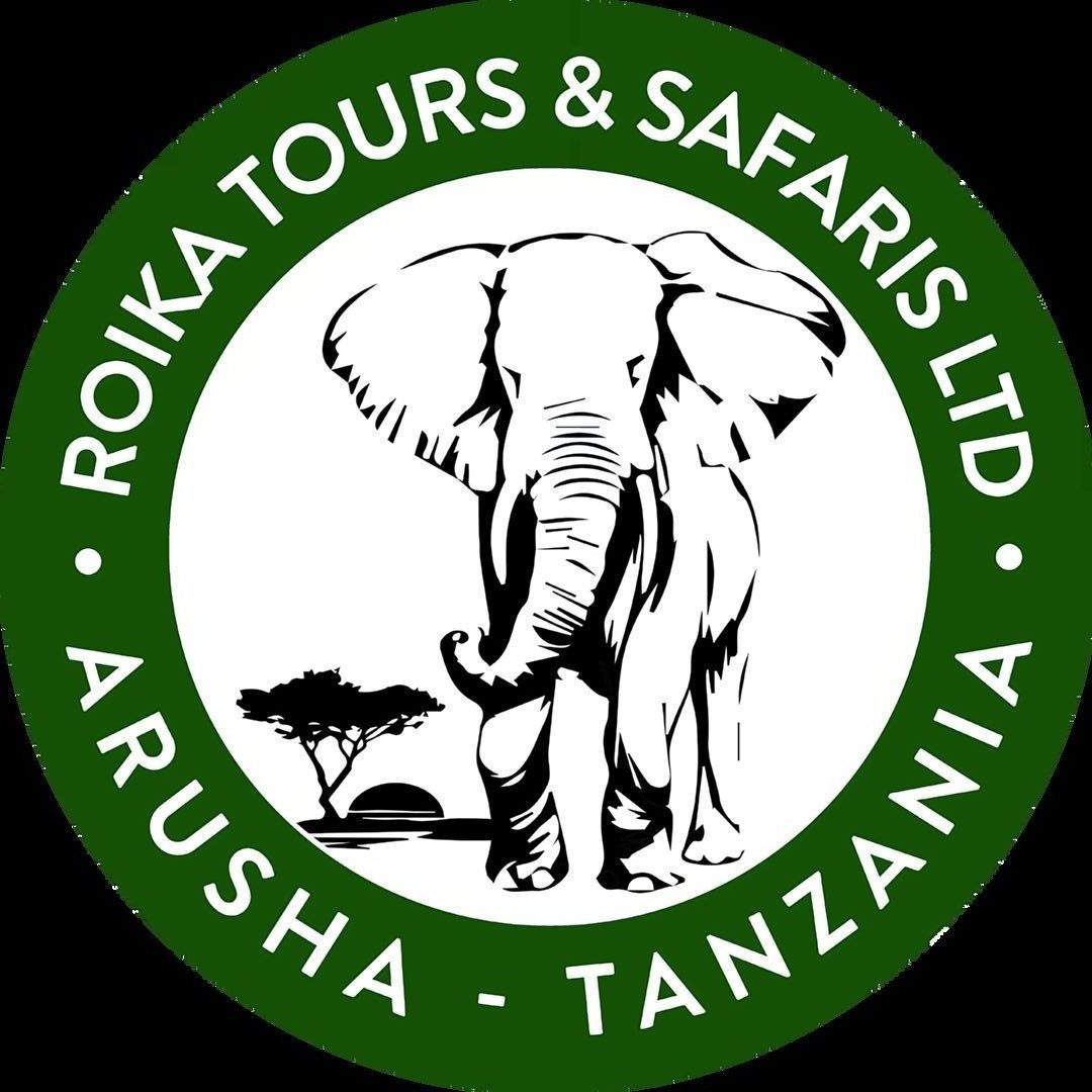 Search – Africa Booking Match